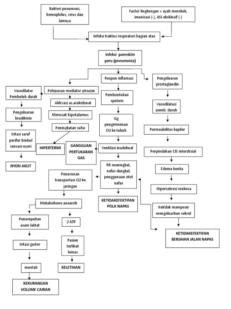 Pathway Pneumonia | PDF
