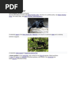 Adaptations of A Black Panther | PDF | Leopard | Cougar