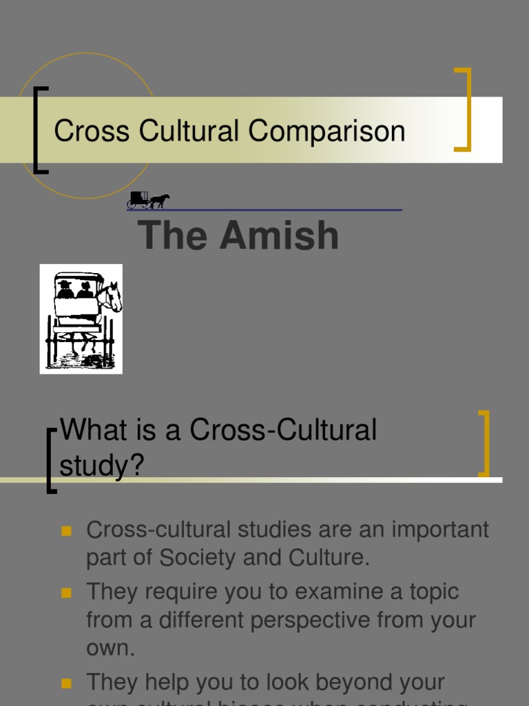 Cross Cultural Comparison: The Amish | Download Free PDF | Amish ...