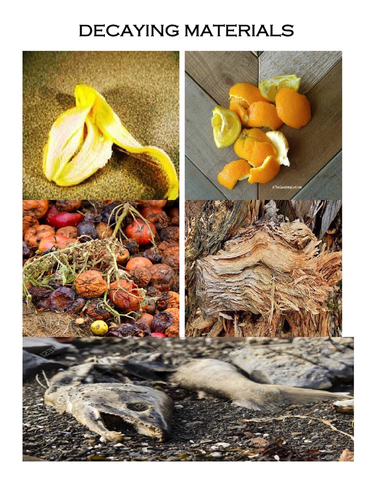 Decaying Materials | PDF