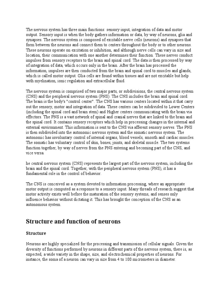 Structure and Function of Neurons | PDF | Neuron | Nervous System