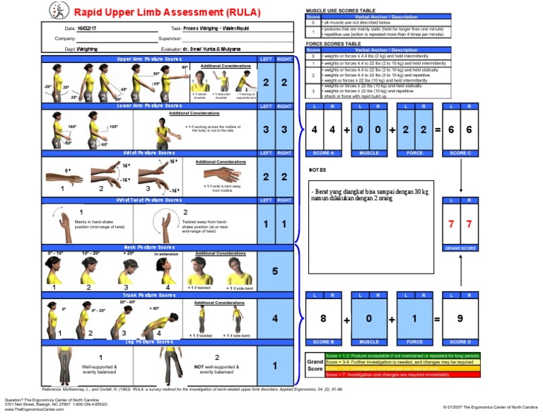 RULA Form | Download Free PDF | Anatomical Terms Of Motion | Limbs ...