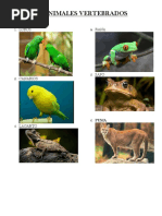 10 Animales Que Nadan | PDF