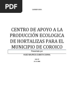 Proyecto de Locote en Paraguay | PDF | Pimiento | Economias
