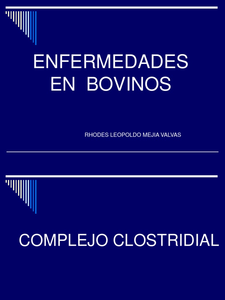 Enfermedades Clostridiales Bovinos | PDF | Ántrax | Medicina