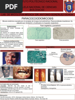 Medios de Cultivo para Hongos | PDF | Hongo | Microbiología