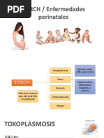 Parasitosis Intestinal Pediatría | PDF | Diarrea | Microbiología