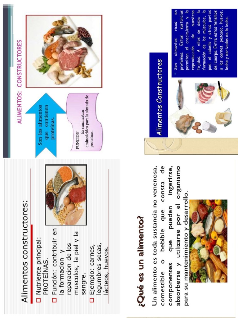 Que Son Los Alimentos Constructores | PDF