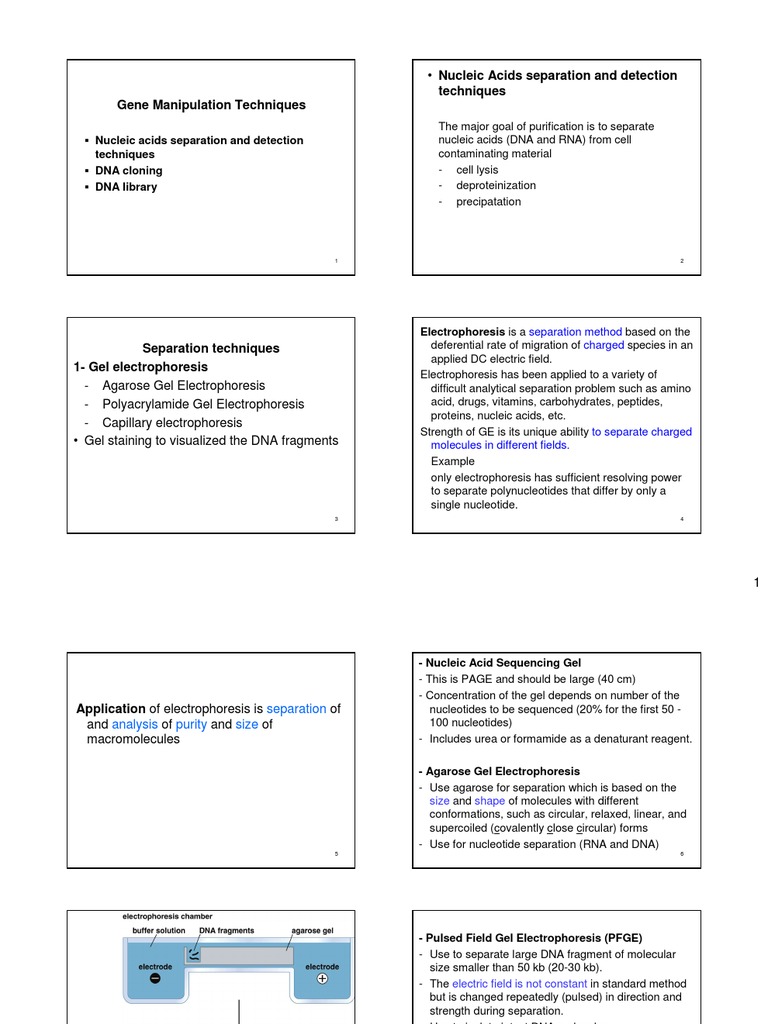 Gene Manipulation Techniques Techniques: - Nucleic Acids Separation and ...
