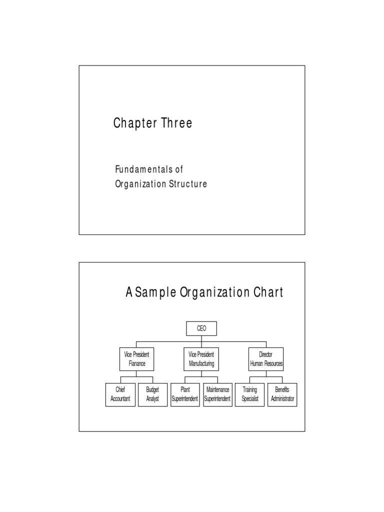 Organization Structure Fundamentals | PDF
