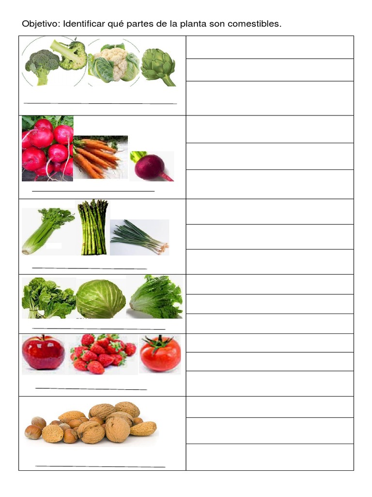 Qué Partes de La Planta Comemos | PDF | Ciencia y matemáticas