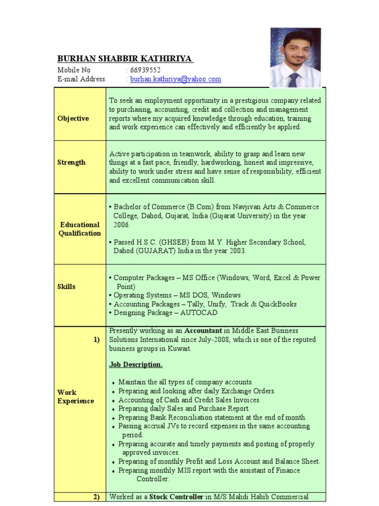 Burhan CV | PDF | Invoice | Economies