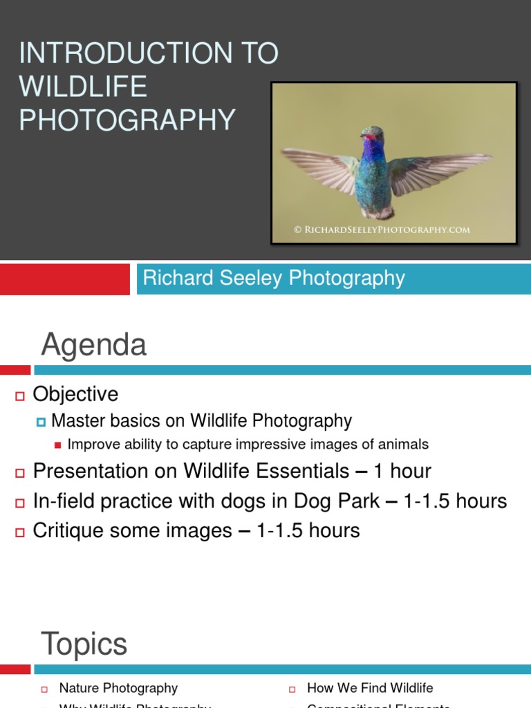 Introduction To Wildlife Photography | PDF | Shutter Speed | Autofocus