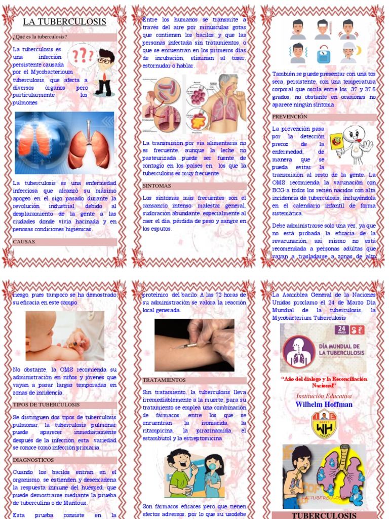 TRÍPTICO Tuberculosis | PDF | Tuberculosis | Epidemiología