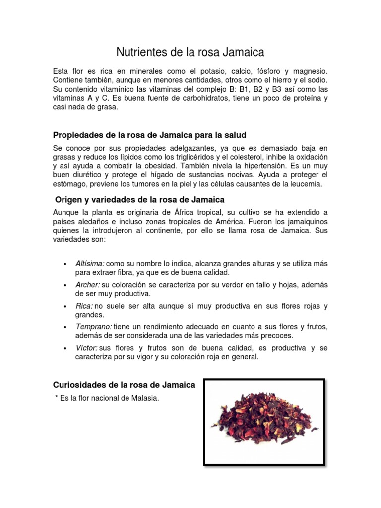 Nutrientes de La Rosa Jamaica | PDF | Nutrientes | Vitamina