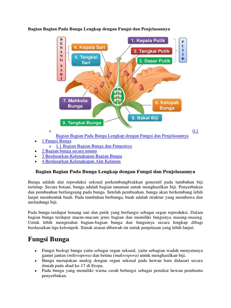 Bagian Bagian Pada Bunga Lengkap Dengan Fungsi Dan Penjelasannya | PDF
