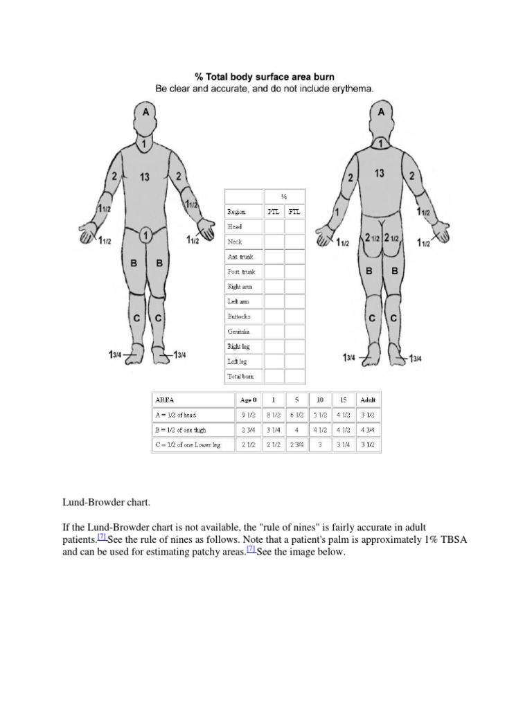 Baxter Formula | PDF | Burn | Skin