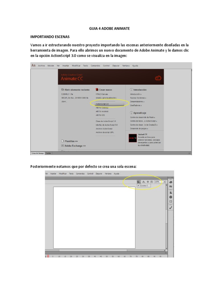Guia 4 Adobe Animate | PDF