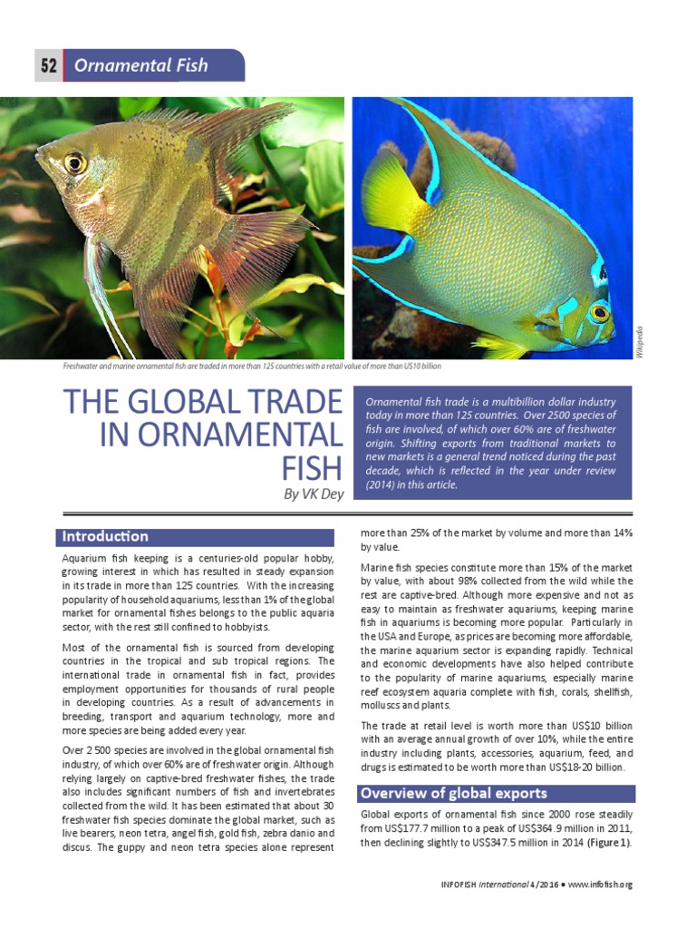 Global Trade in Ornamental Fish PDF | PDF | Fishkeeping | Aquarium