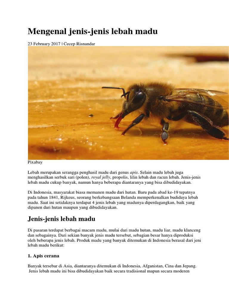 Mengenal Jenis-Jenis Lebah Madu | PDF