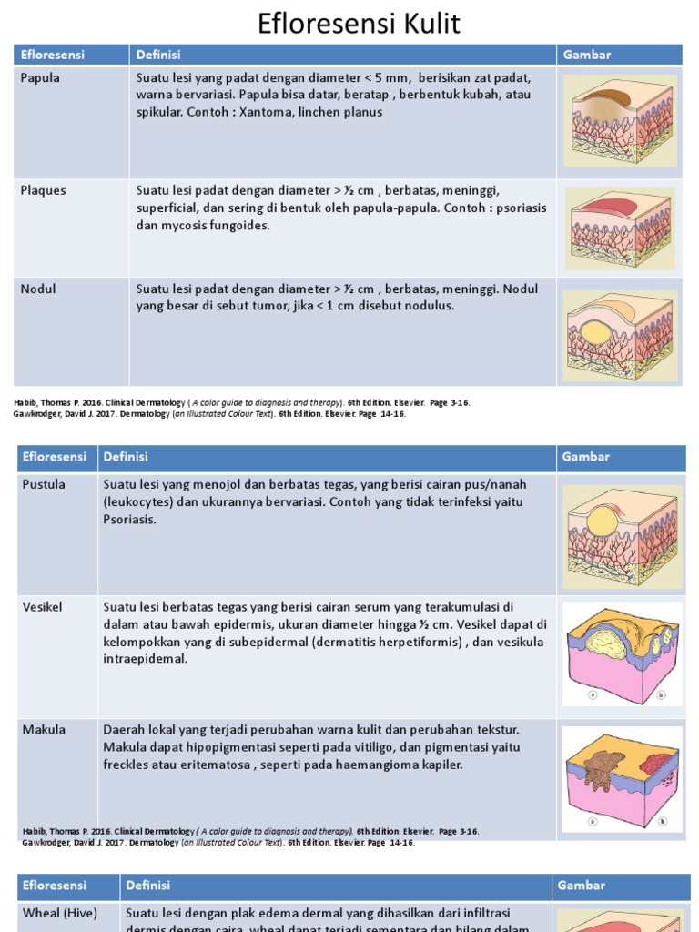 Efloresensi Kulit | PDF