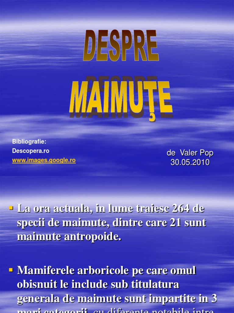 Maimute | PDF