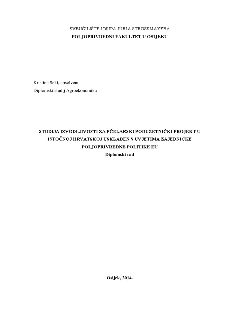 Diplomski Poslovni Plan | PDF