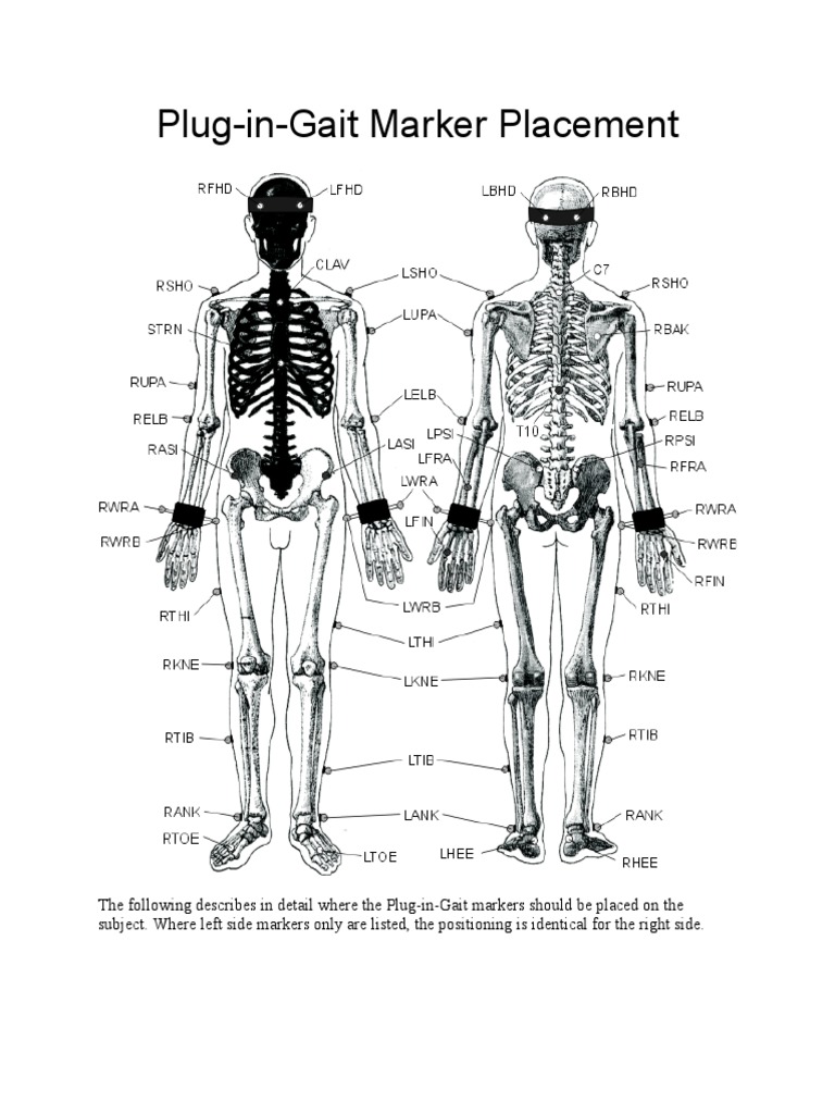 Plug-in Gait Marker Placement Guide | PDF | Anatomical Terms Of ...