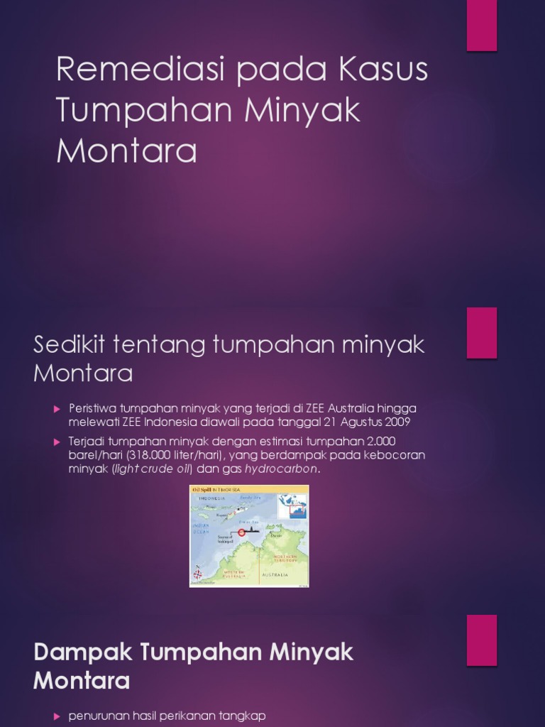 Remediasi Pada Kasus Tumpahan Minyak Montara Kelompok Muna | PDF