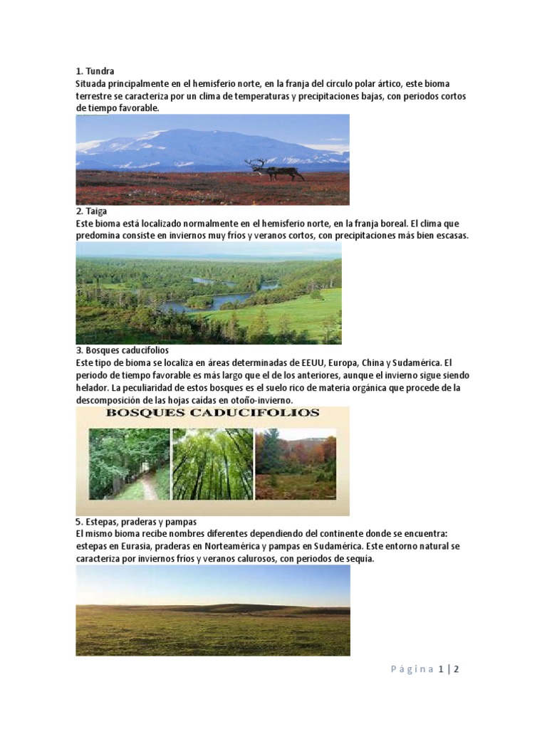 Tipos de Biomas | PDF