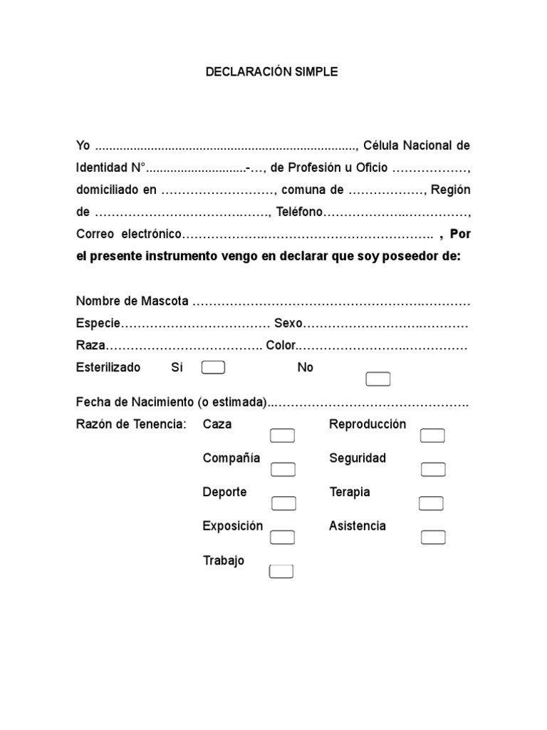 Declaracion Simple Poseedor | PDF