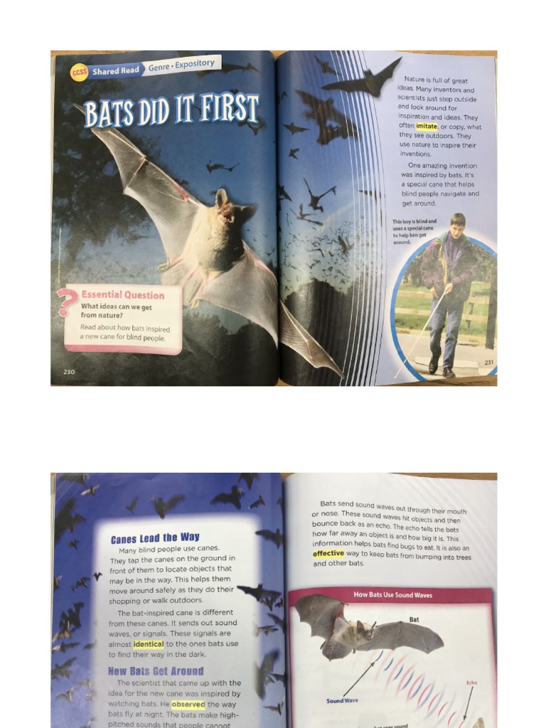 Bats Did It First 2 | PDF