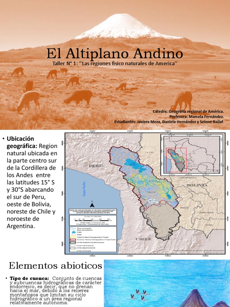 El Altiplano Andino | Andes | Ciencias de la tierra y de la vida