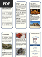 Triptico de Pasco | PDF | Alimentos | Naturaleza