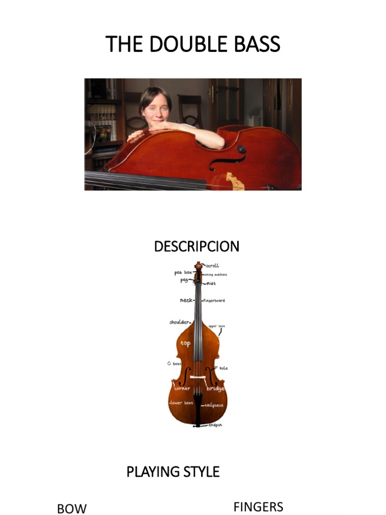 The Double Bass | PDF