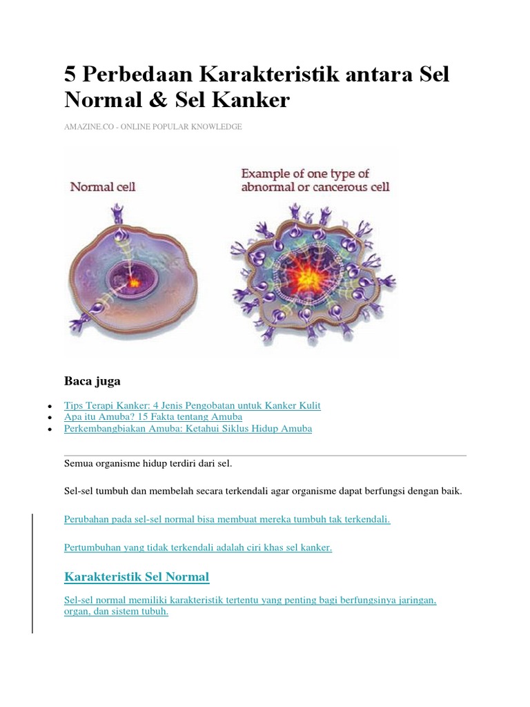 5 Perbedaan Karakteristik Antara Sel Normal