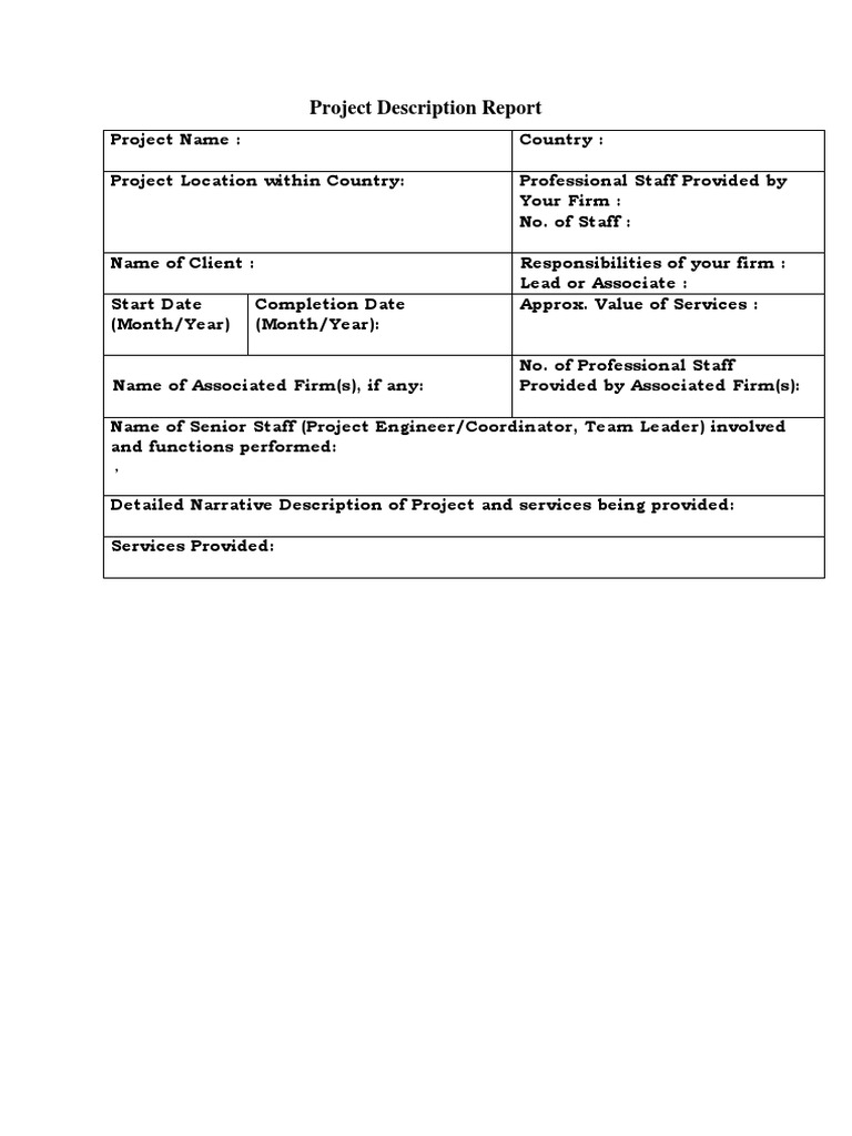 Project Description Report | PDF | Business