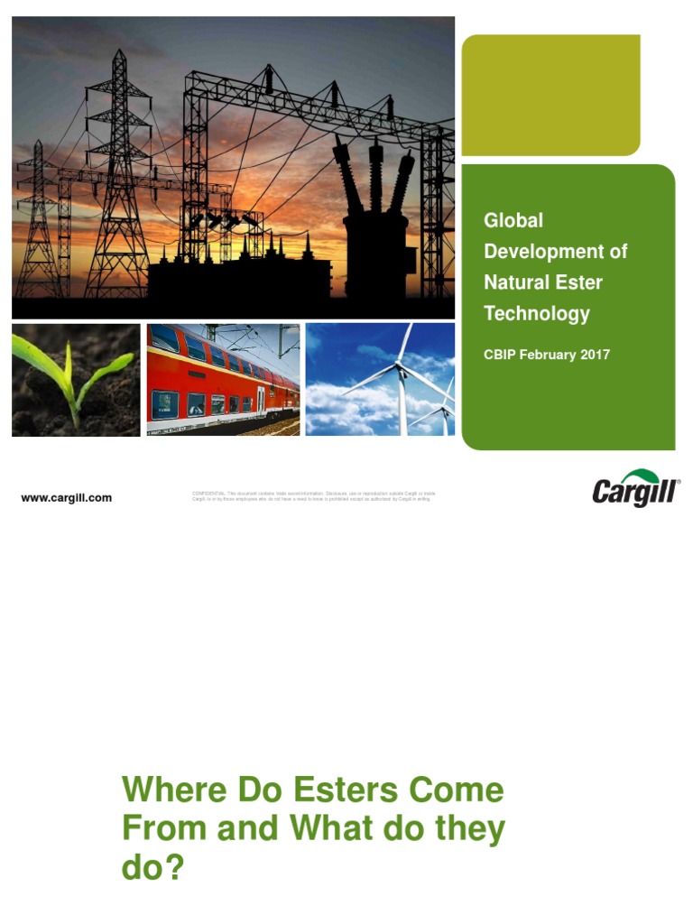 Natural Ester Transformer Oil in Singapore | PDF | Biodegradation ...