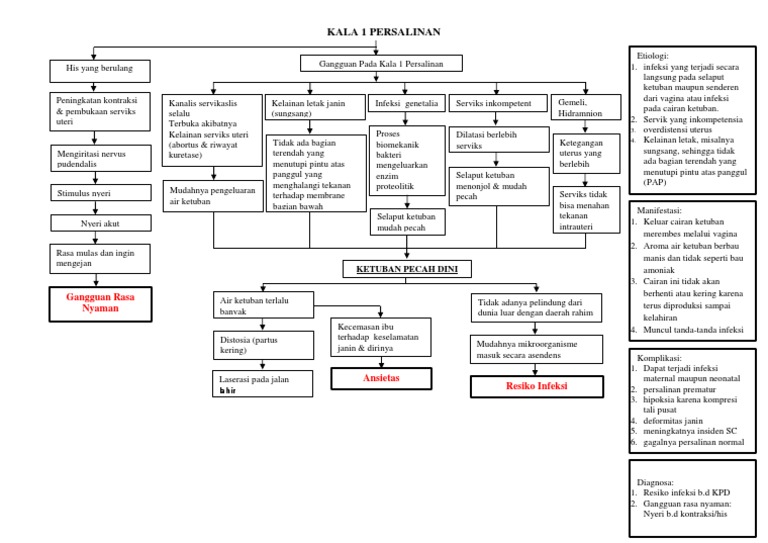 Pathway Ketuban Pecah Dini | PDF