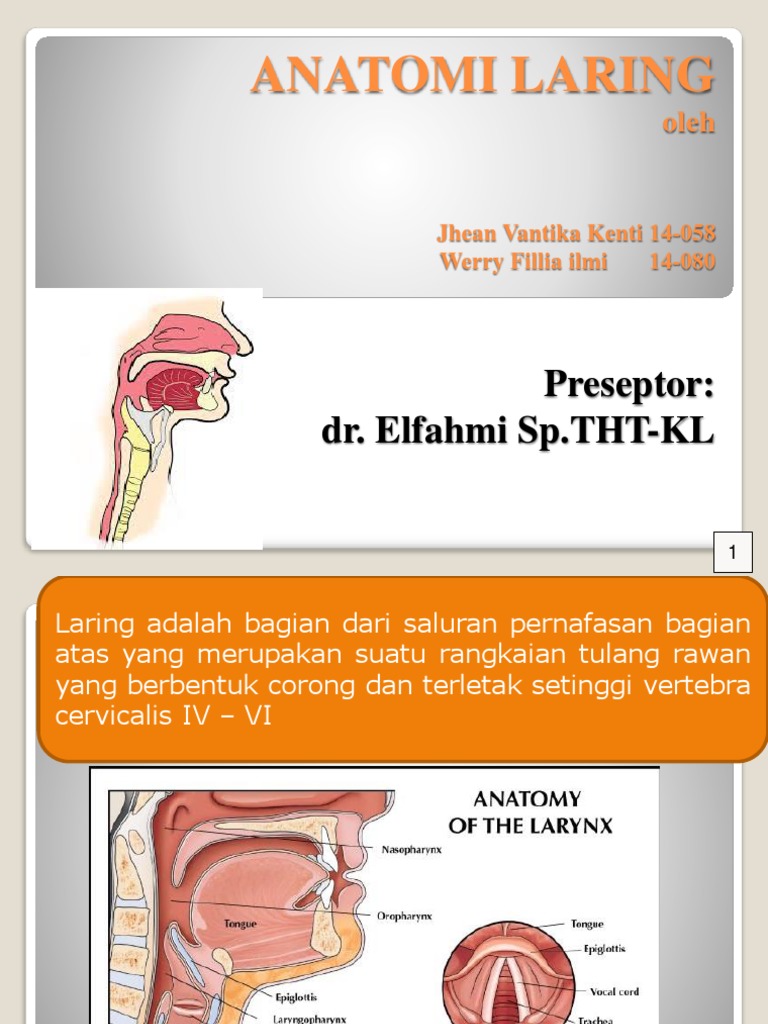 Anatomi Laring | PDF