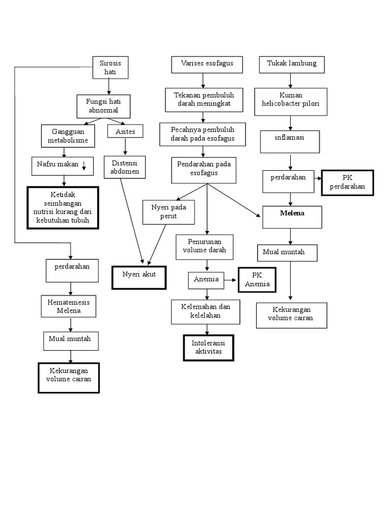 Patofis Melena | PDF