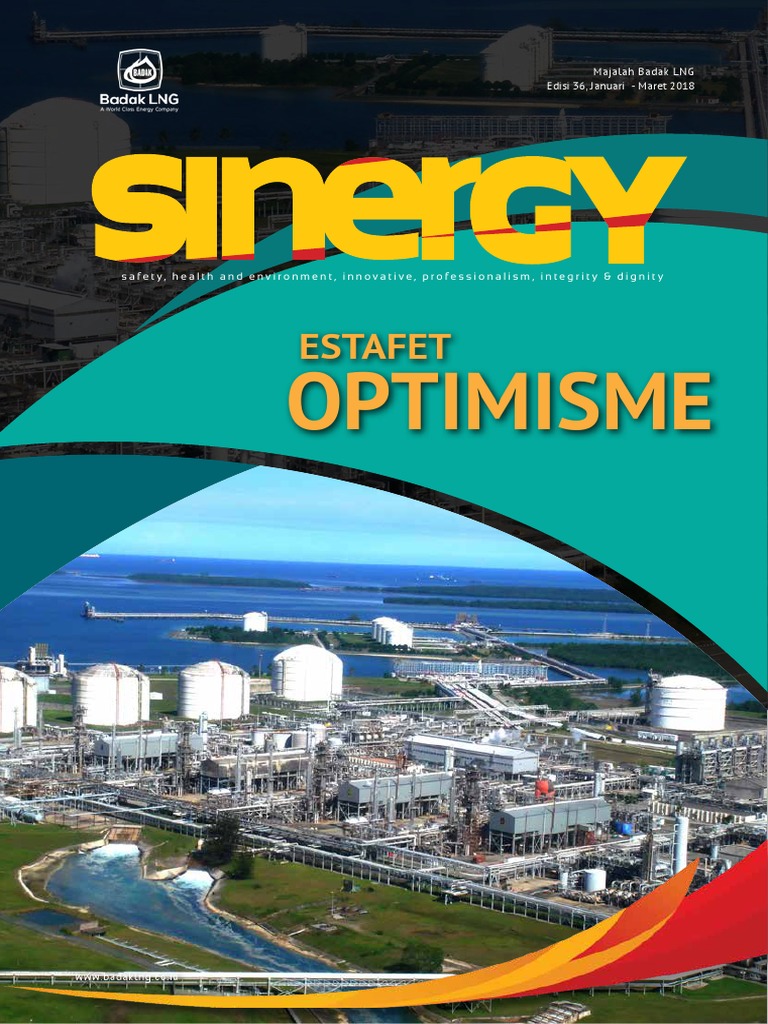 Sinergy 36 PDF | PDF