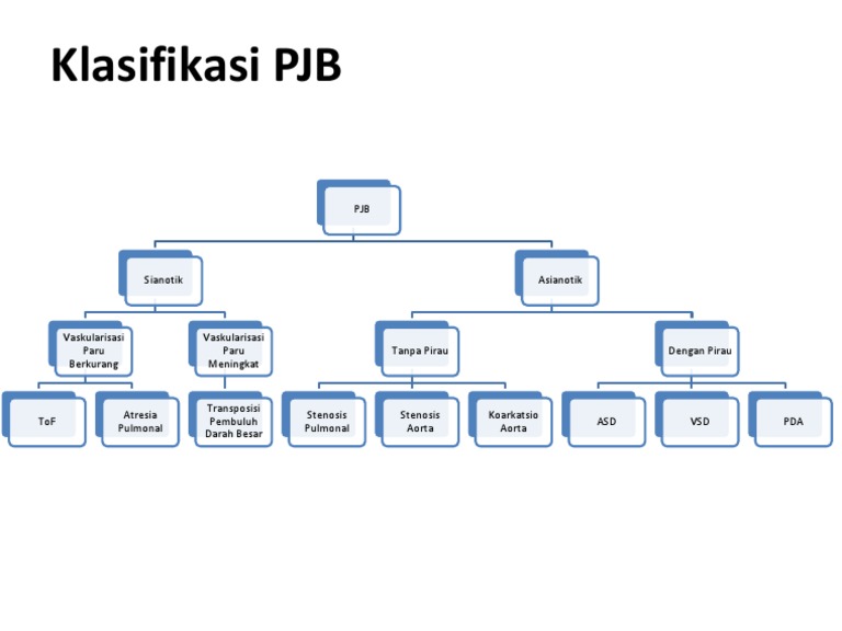 Klasifikasi PJB | PDF