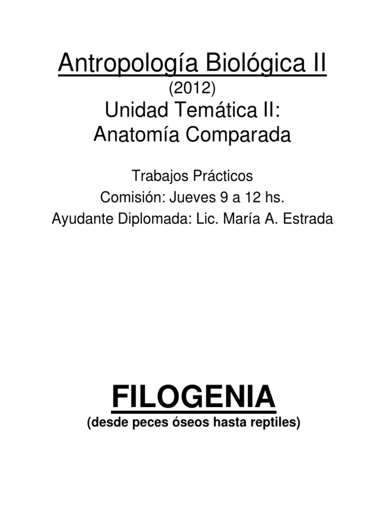 Filogenia de Crosopterigios y Reptiles | PDF | Vertebrados | Cabeza y ...