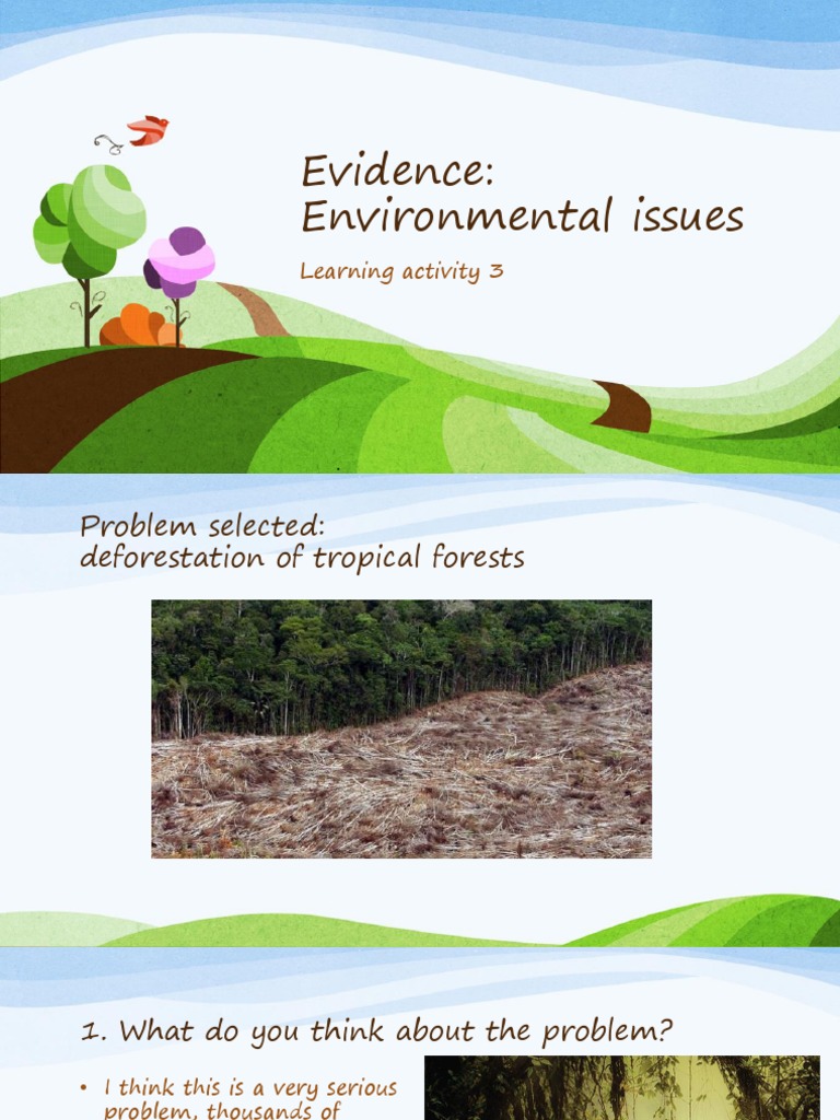Evidence: Environmental Issues: Learning Activity 3 | PDF