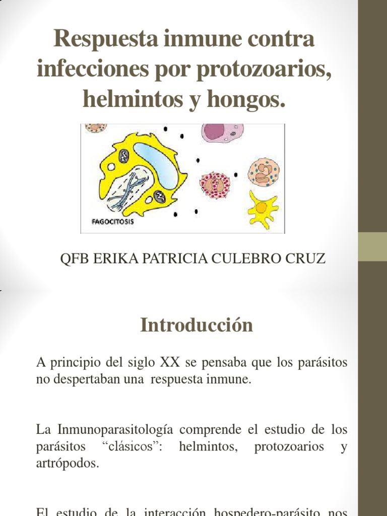 3) Inmunidad Frente A Parasitos y Hongos PDF | PDF | Citocina | Sistema inmune