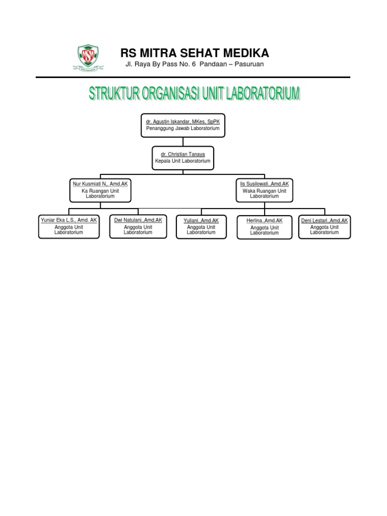 Struktur Organisasi Laboratorium | PDF