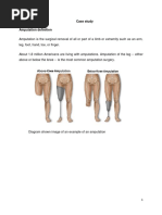 PPAM Aid: A Guide for Amputees | PDF | Amputation | Prosthesis