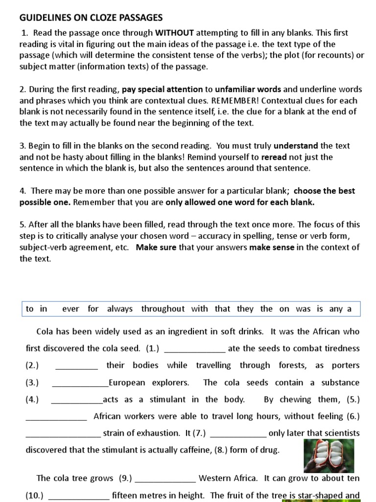 Guidelines On Cloze Passages | PDF | Armour | Verb