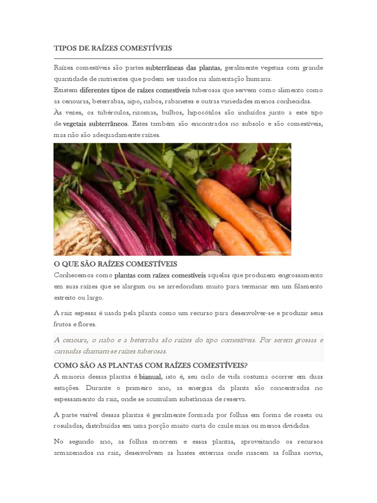 Tipos de Raízes Comestíveis | Raiz | Vitamina